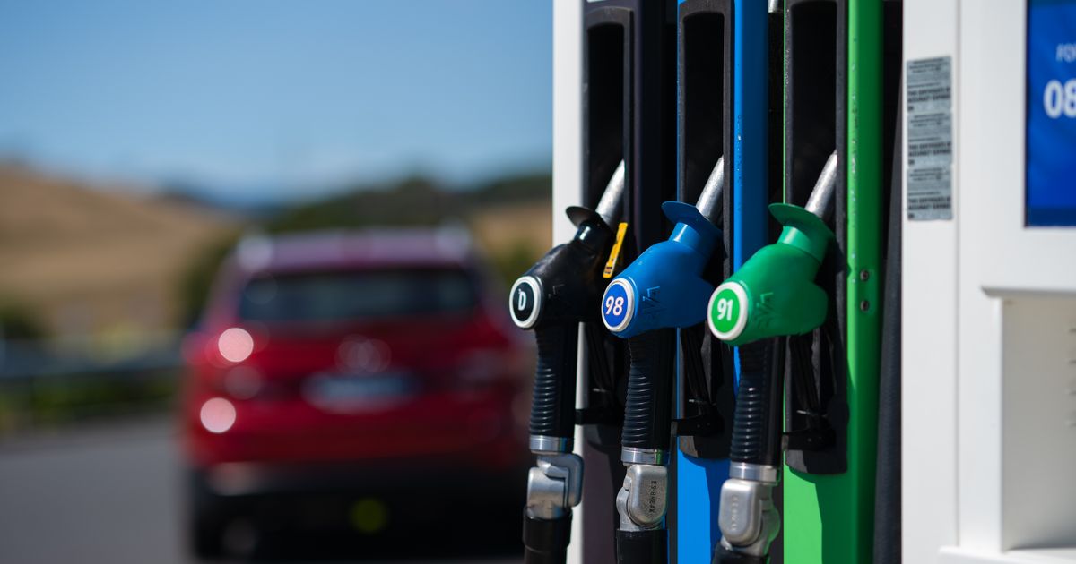Gull and NPD merger approved, creating major NZ discount fuel retailer ...